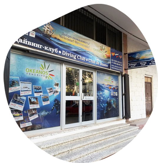 Diving in Tenerife - Diving Center OLA | PADI courses | Snorkeling in ...