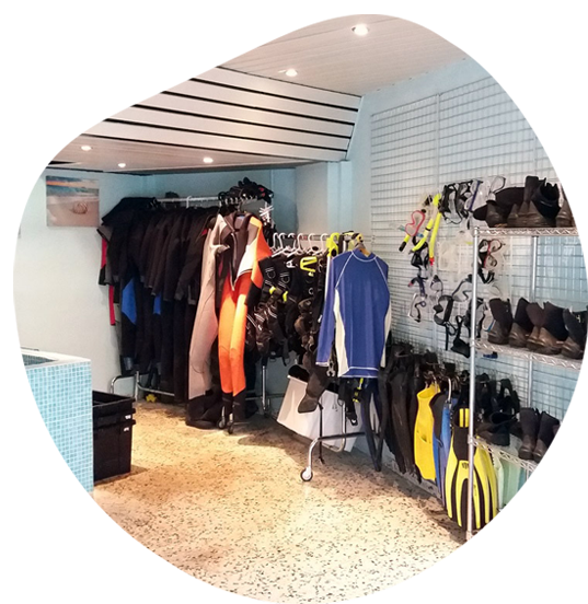 Diving in Tenerife - Diving Center OLA | PADI courses | Snorkeling in ...